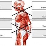 Understanding and Treating Upper and Lower Cross Syndrome